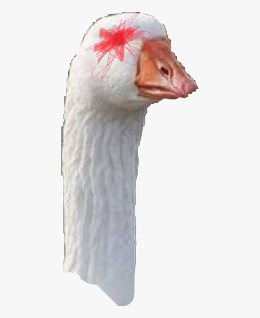 Ganso Freetoedit - Kimbu People , Free Transparent Clipart - ClipartKey