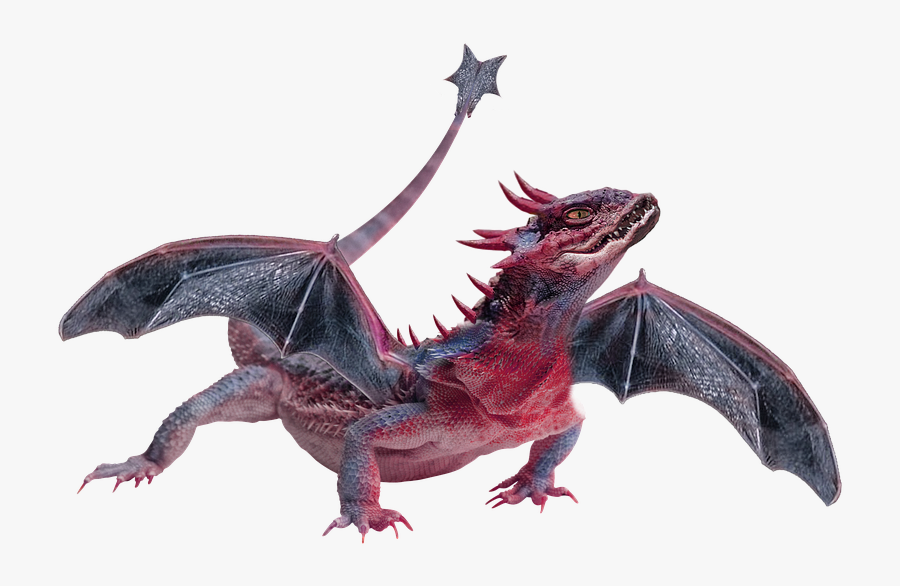 Transparent Background Realistic Dragon Png , Free Transparent Clipart ...
