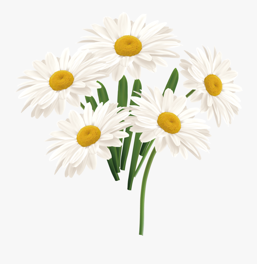 Flower Common Daisy - Flash Guide Numbers , Free Transparent Clipart ...