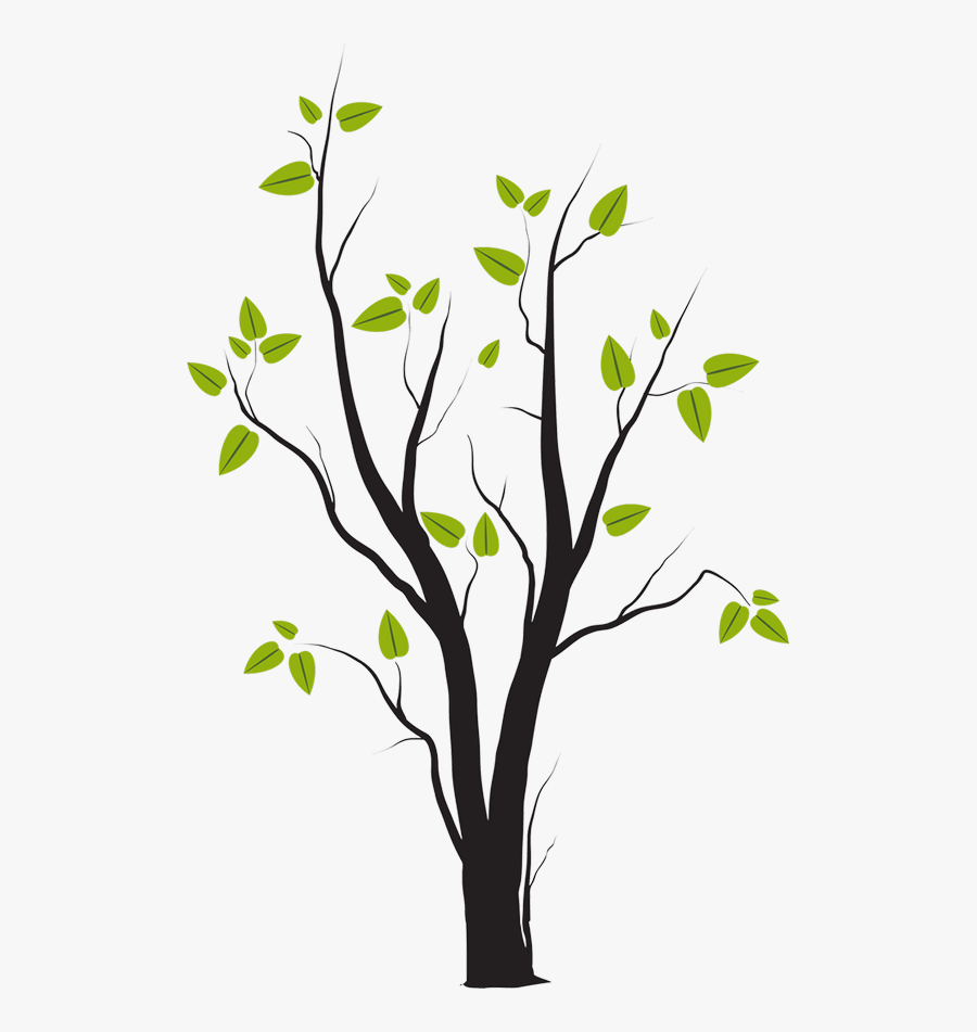 Wall Sticker Tall Tree , Free Transparent Clipart - ClipartKey