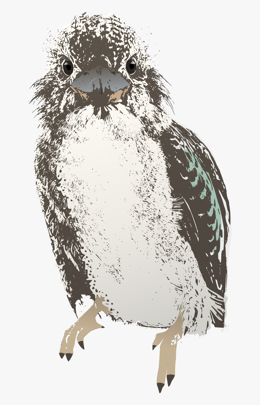 Screech Owl , Free Transparent Clipart - ClipartKey