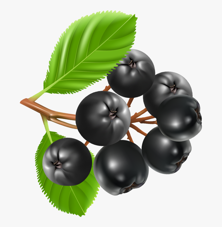 Currant , Free Transparent Clipart - ClipartKey