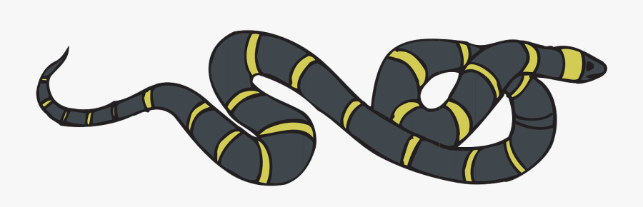 Python Clipart Water Snake - Black And Yellow Snake Png , Free ...