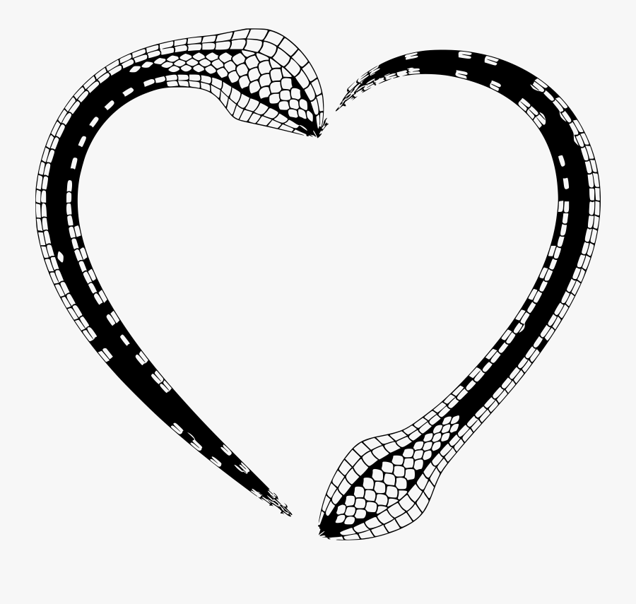 Snakeskin Drawing Python Skin - Snake Frame Png , Free Transparent ...