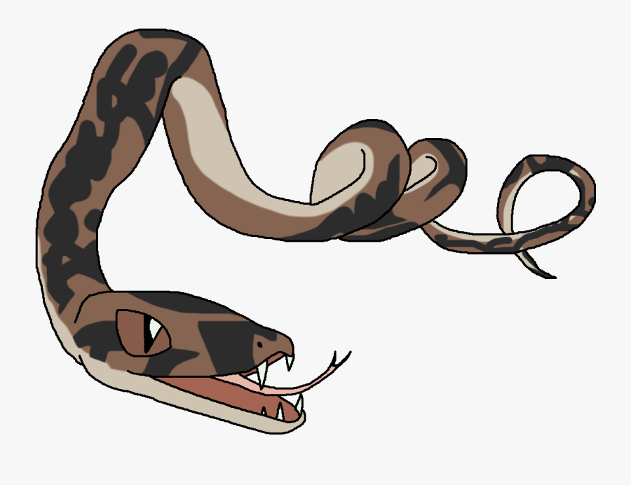 Boa Constrictor - Python - Boa Constrictor , Free Transparent Clipart ...