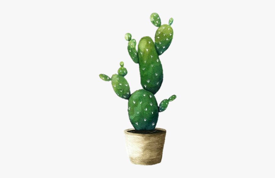 Transparent Background Cactus Png , Free Transparent Clipart - ClipartKey