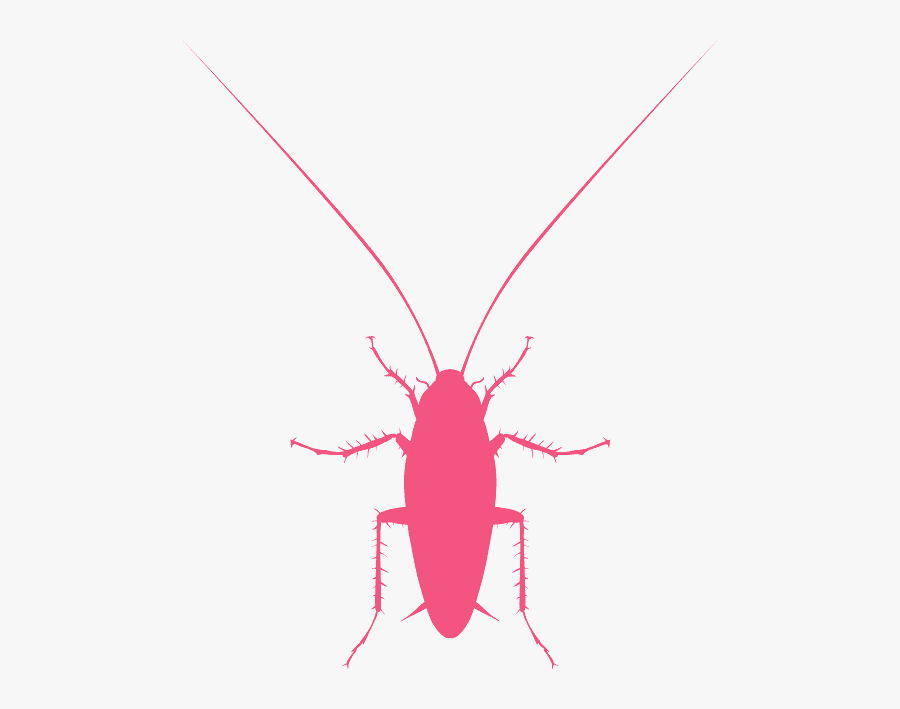 Cockroach Vector Png , Free Transparent Clipart - ClipartKey