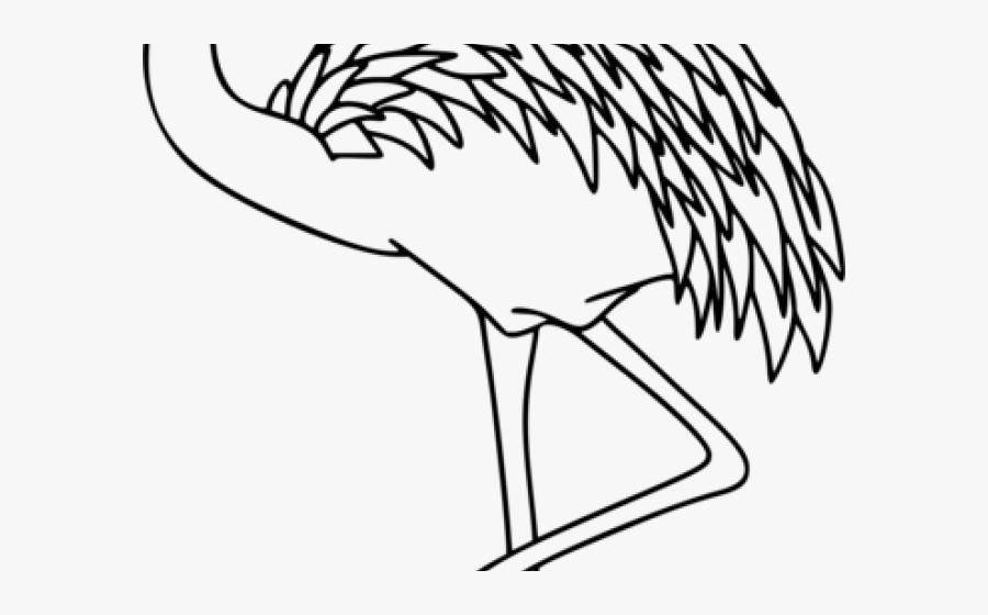 Beak Cliparts - Line Art , Free Transparent Clipart - ClipartKey