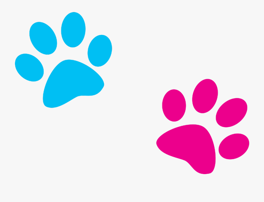 #paws #paw #blue #pink #print #dog #cat - Patitas De Animales Png ...