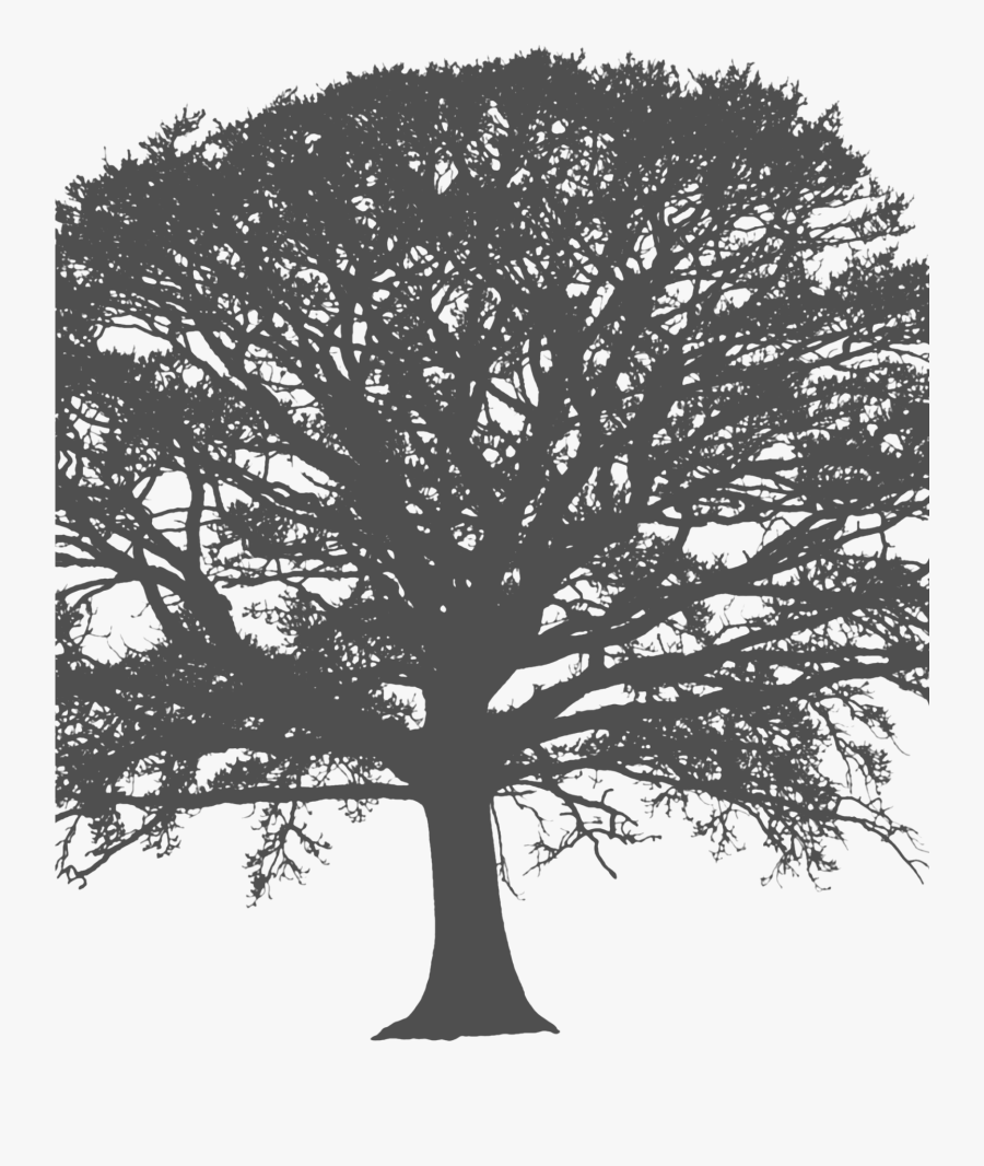 White Tree Silhouette Wallpaper - White Tree Silhouette Png , Free ...