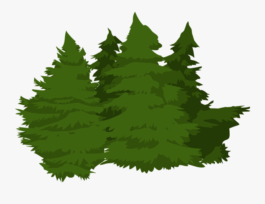 Redwood Forest Drawing - Transparent Background Forest Clipart , Free ...