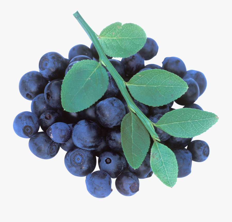 Maqui Png , Free Transparent Clipart - ClipartKey