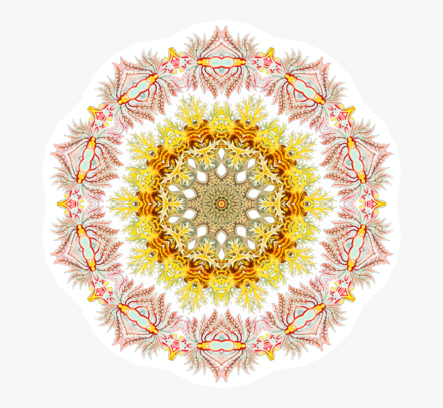 Flower,symmetry,floral Design - Picsart Photo Studio , Free Transparent ...