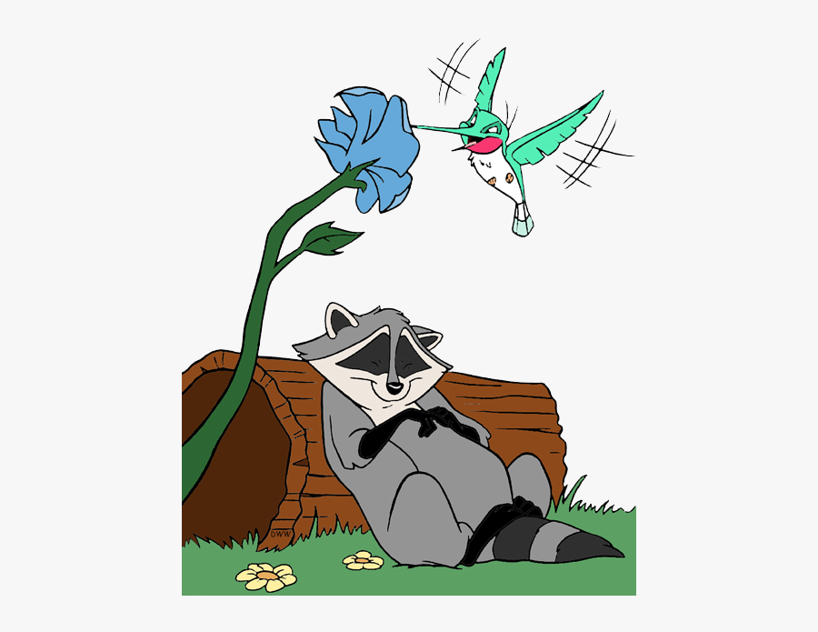 Meeko Png , Free Transparent Clipart - ClipartKey