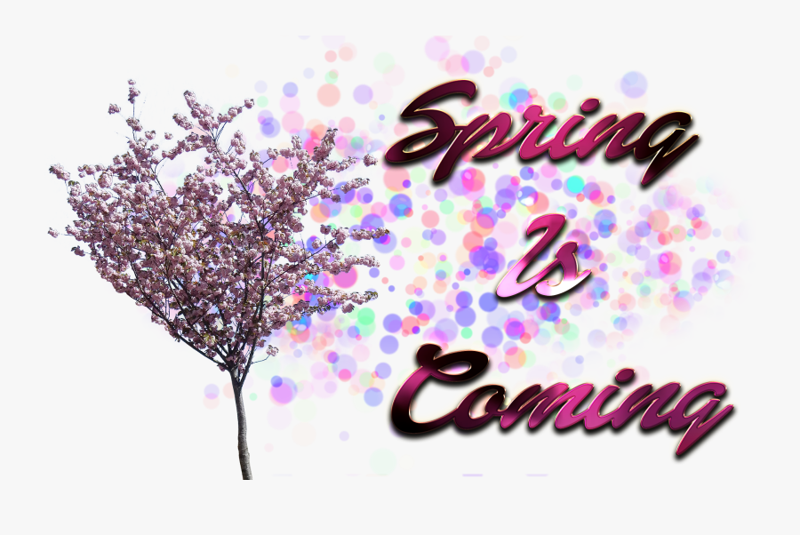 Spring Is Coming Png Free Image Download - Graphic Design , Free ...