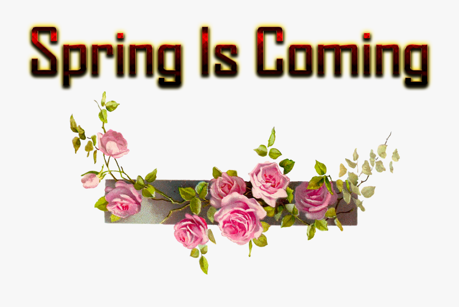 Spring Is Coming Png Transparent Image - Te Conozco Pero Gracias Por Tu ...