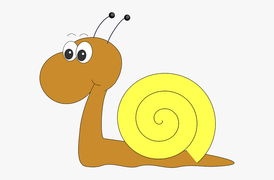 Cartoon Snail No Background , Free Transparent Clipart - ClipartKey