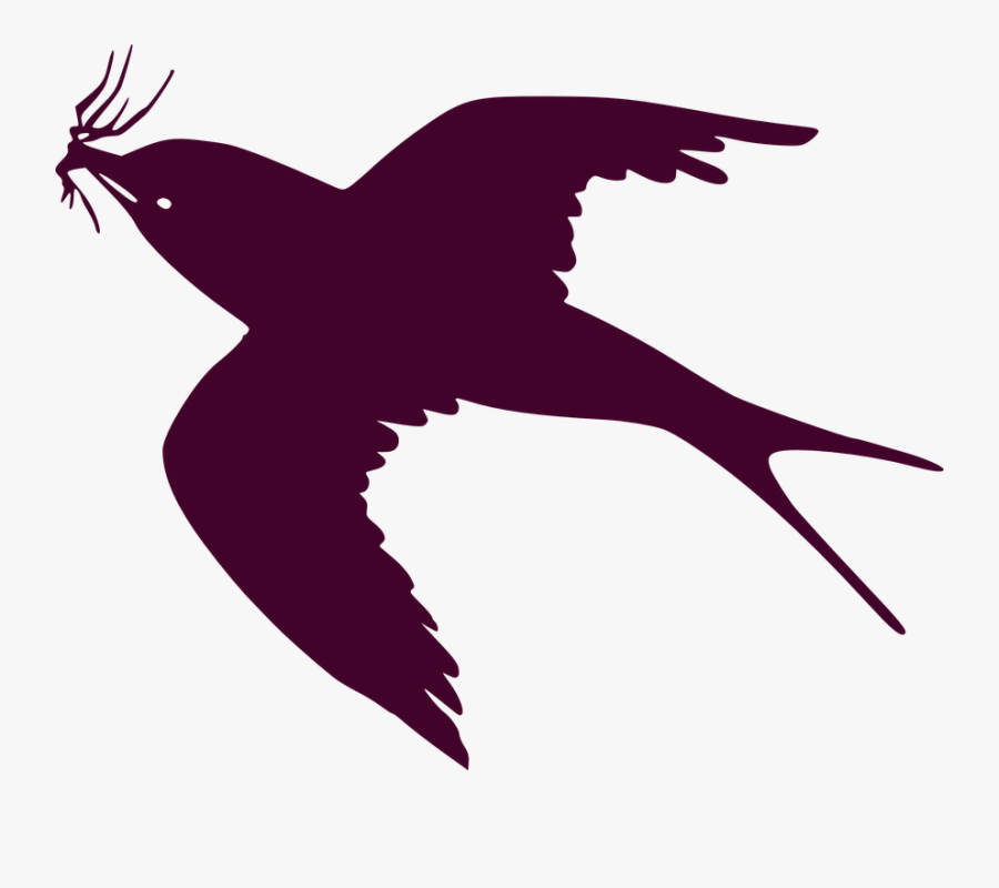 Swallow, Bird, Purple, Fly - Cartoon Black Bird Flying , Free ...