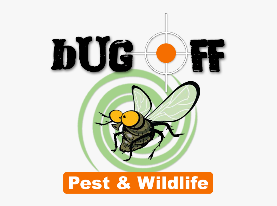 Bugoff Logo - Shoe Fly , Free Transparent Clipart - ClipartKey