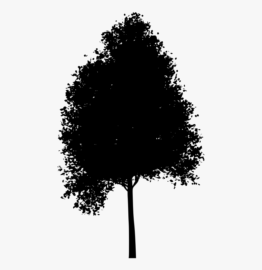 Transparent Aspen Tree Png - Aspen Tree No Background , Free ...