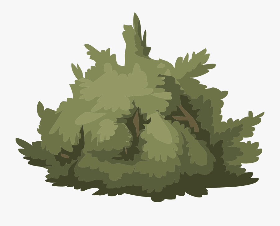 Bush Shrub Green Free Picture - Snow On Bush Png , Free Transparent ...