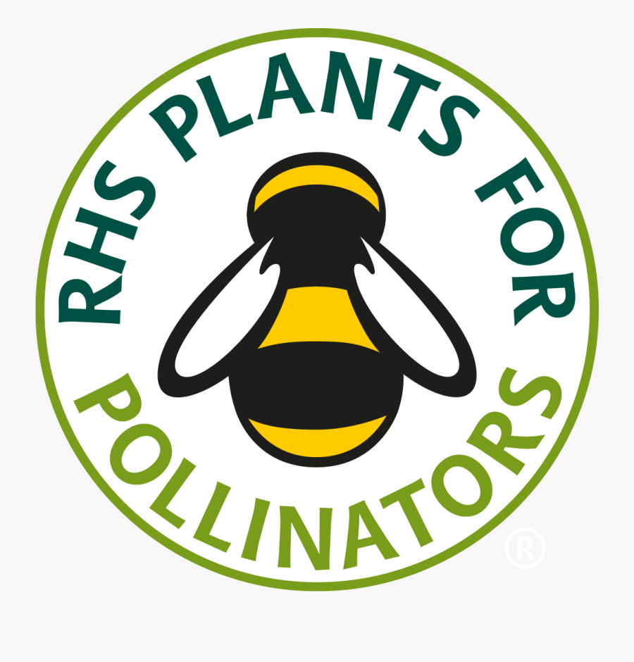 Rhs Plants For Pollinators - Rhs Perfect For Pollinators , Free ...