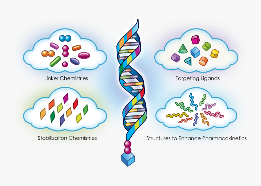 Arrowhead Trim Platform , Free Transparent Clipart - ClipartKey