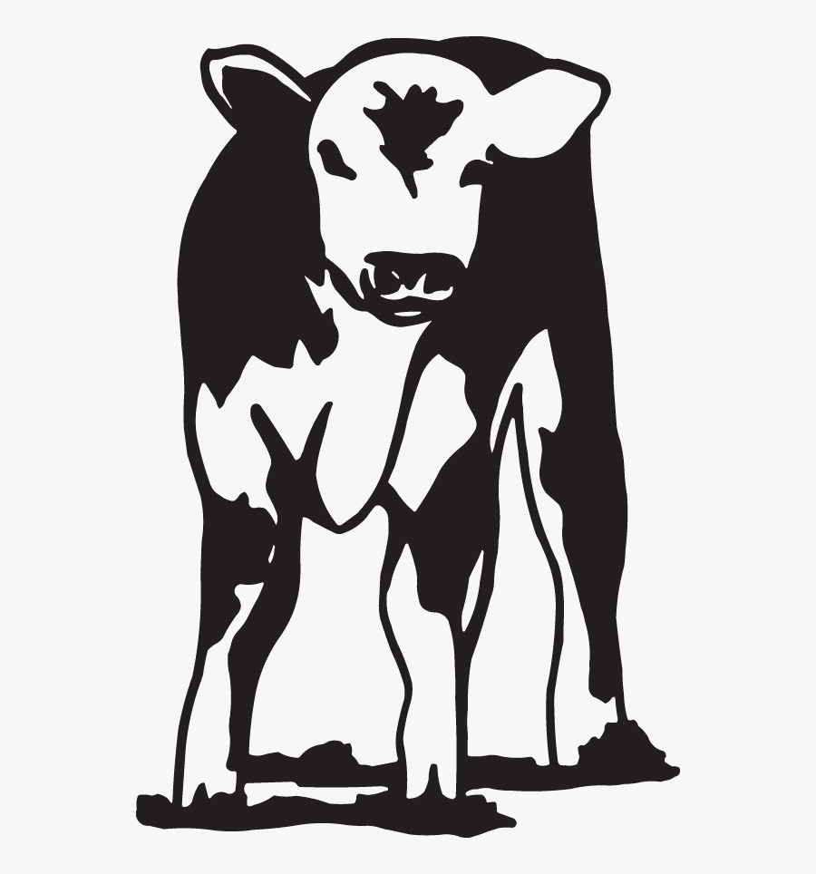 Hereford Cattle Decal , Free Transparent Clipart - ClipartKey
