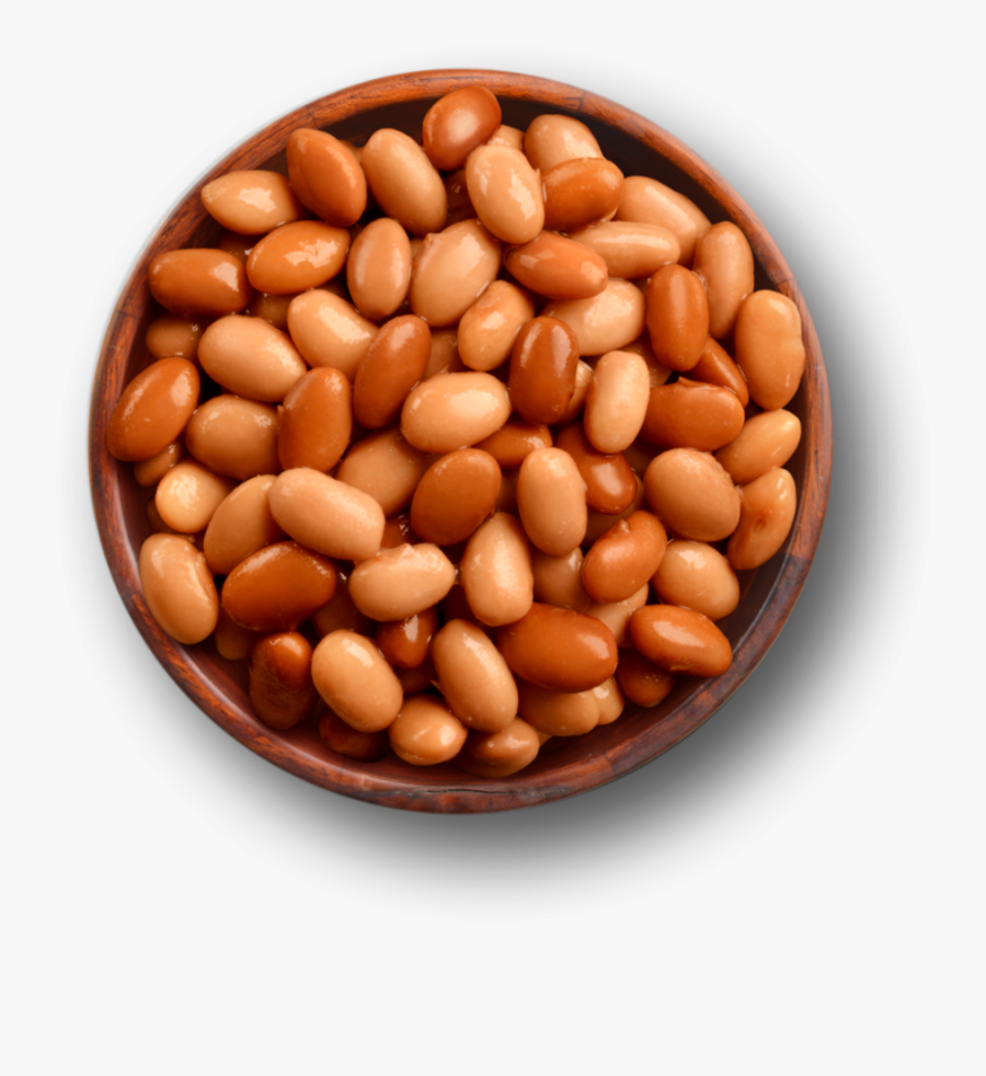 Clip Art Pinto Beans Images - Brown Beans Png , Free Transparent Clipart - ClipartKey