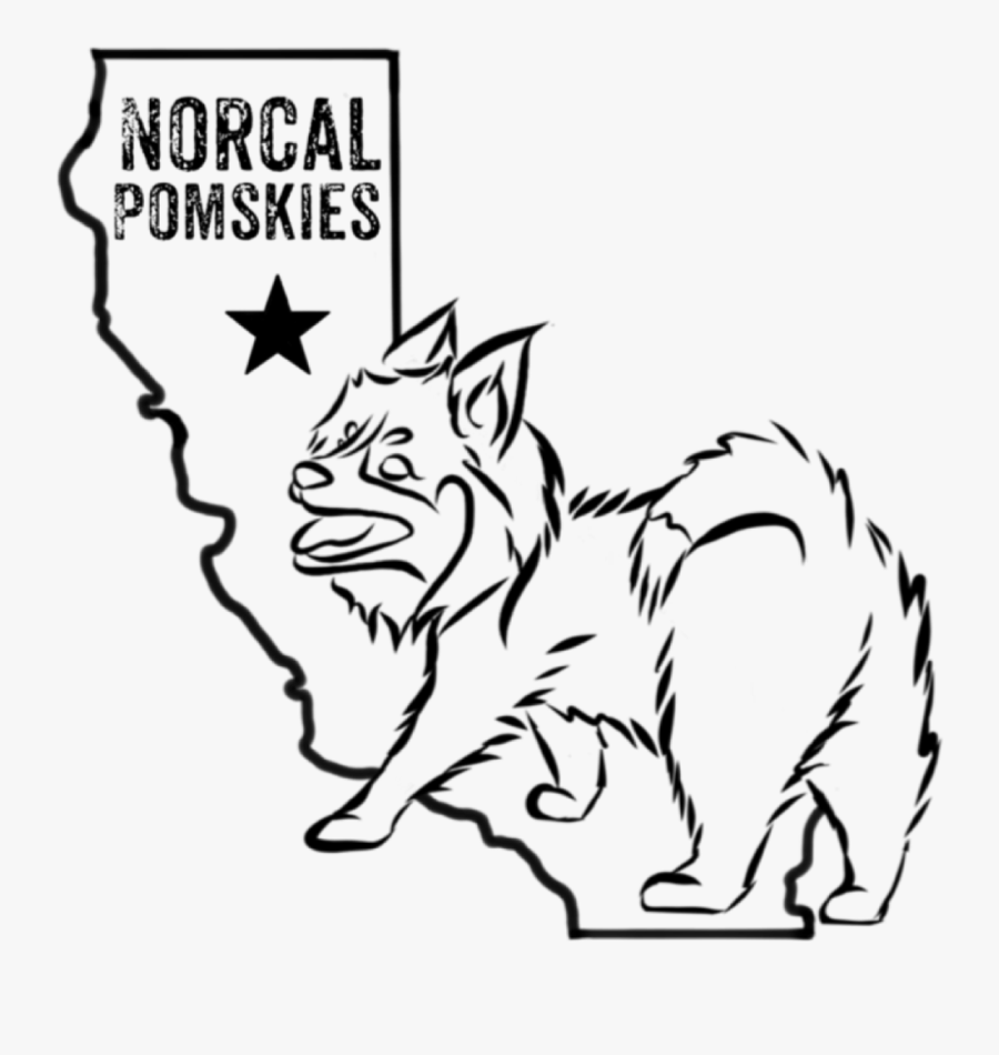 California Pomsky - Cartoon , Free Transparent Clipart - ClipartKey