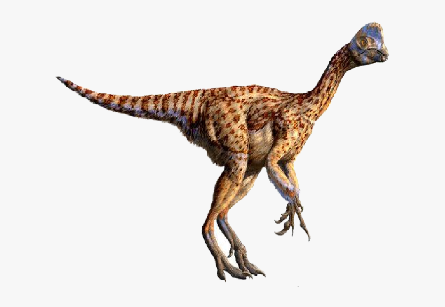 Tyrannosaurus Rex Clipart Raul Martin - Small Dinosaur With Thing On ...