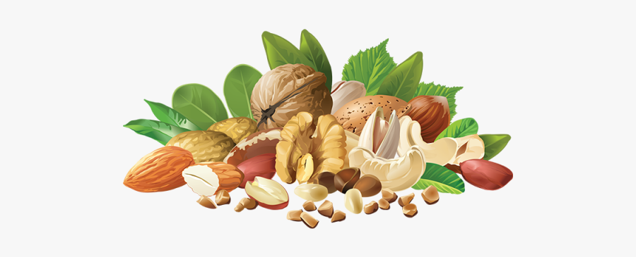 Realistic Different Nuts, Realistic Nuts, Different - Nuts Illustration ...