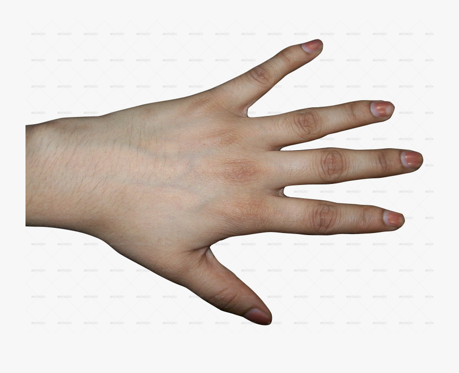 Handprint Transparent Human - Back Of Human Hand , Free Transparent ...