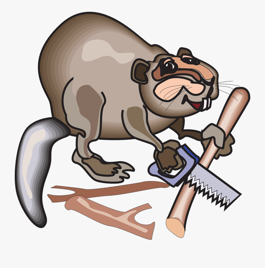 Beaver Business , Free Transparent Clipart - ClipartKey