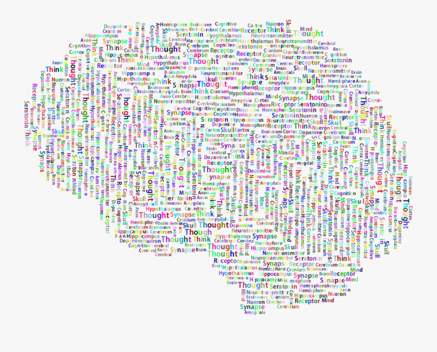 Symmetry,organ,area - Word Cloud For The Brain , Free Transparent ...