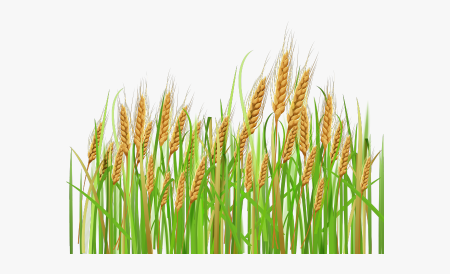 Crop Clipart Clipground