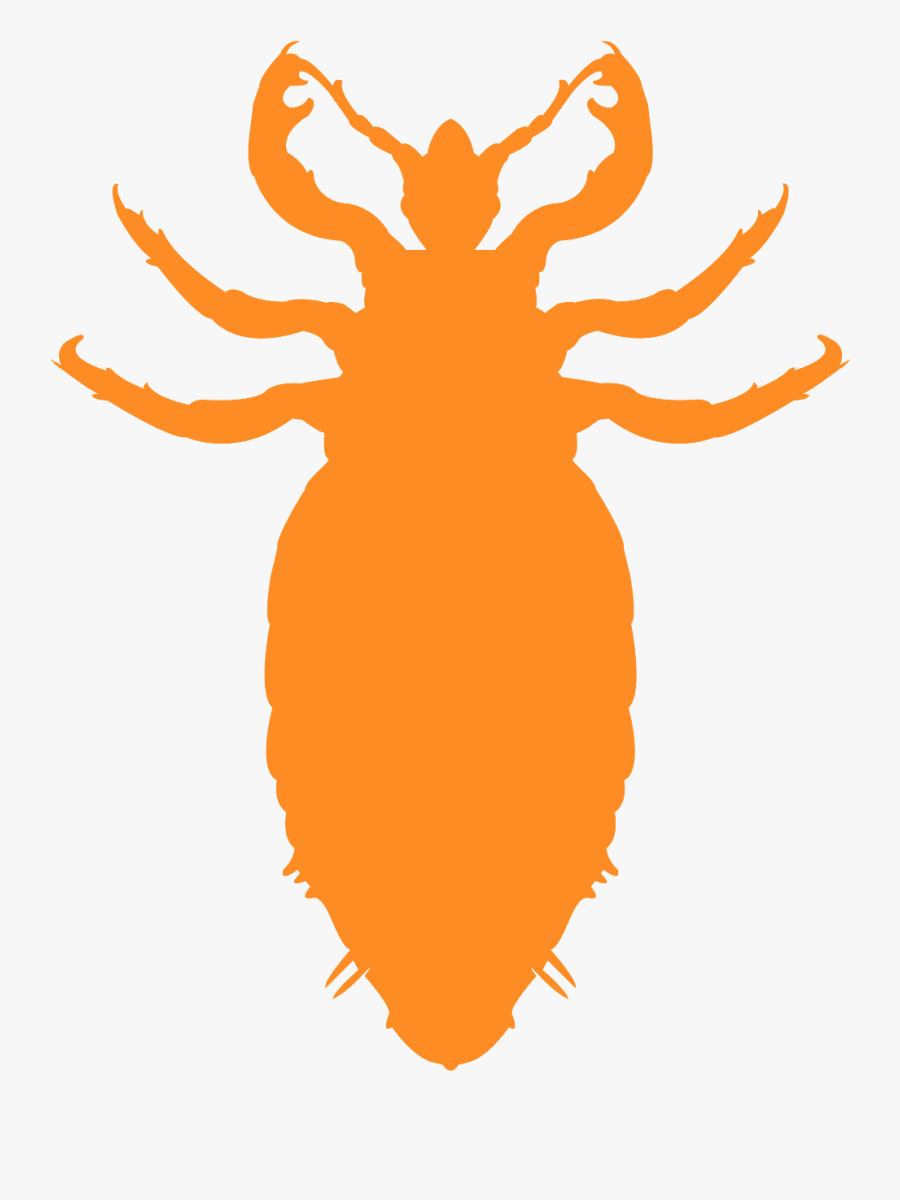 Lice Icon , Free Transparent Clipart - ClipartKey