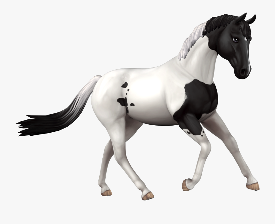 Sso Black And White Trakehner , Free Transparent Clipart - ClipartKey