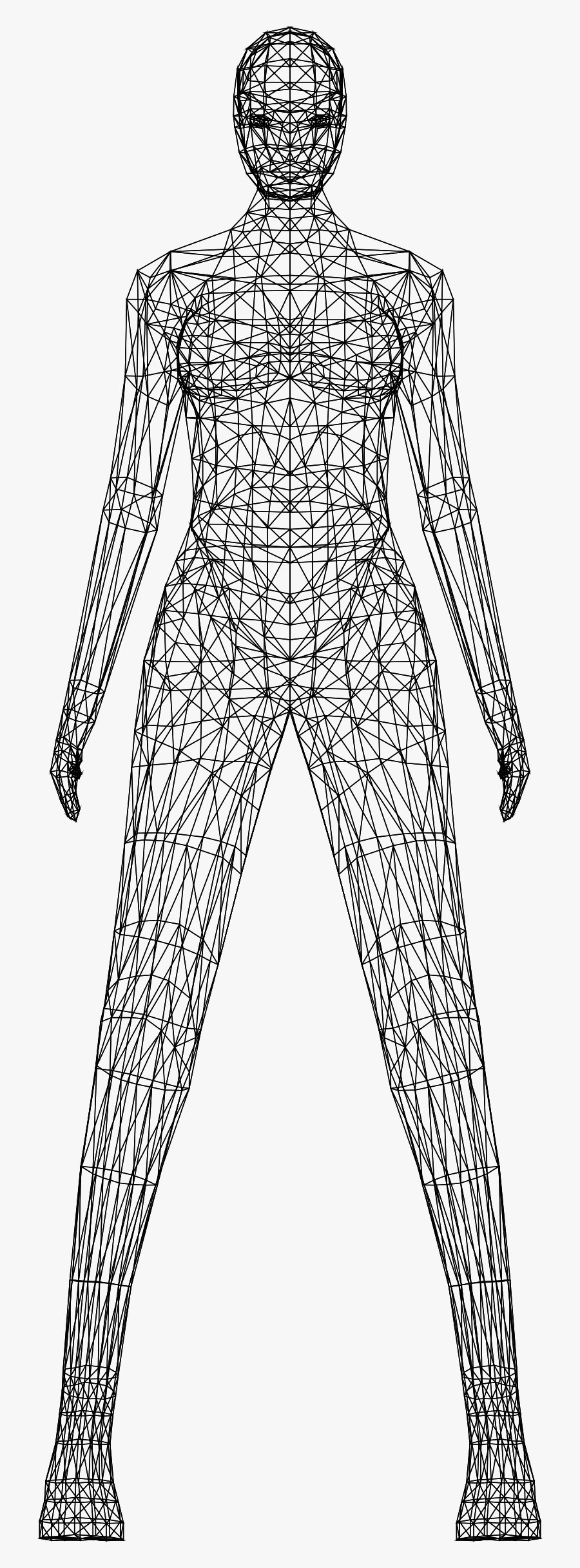 Human Clipart Wireframe - Sexy Woman 3d Wireframe Body Vector , Free ...