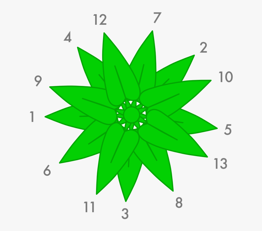 Fibonacci Drawing Sunflower Seed , Free Transparent Clipart - ClipartKey