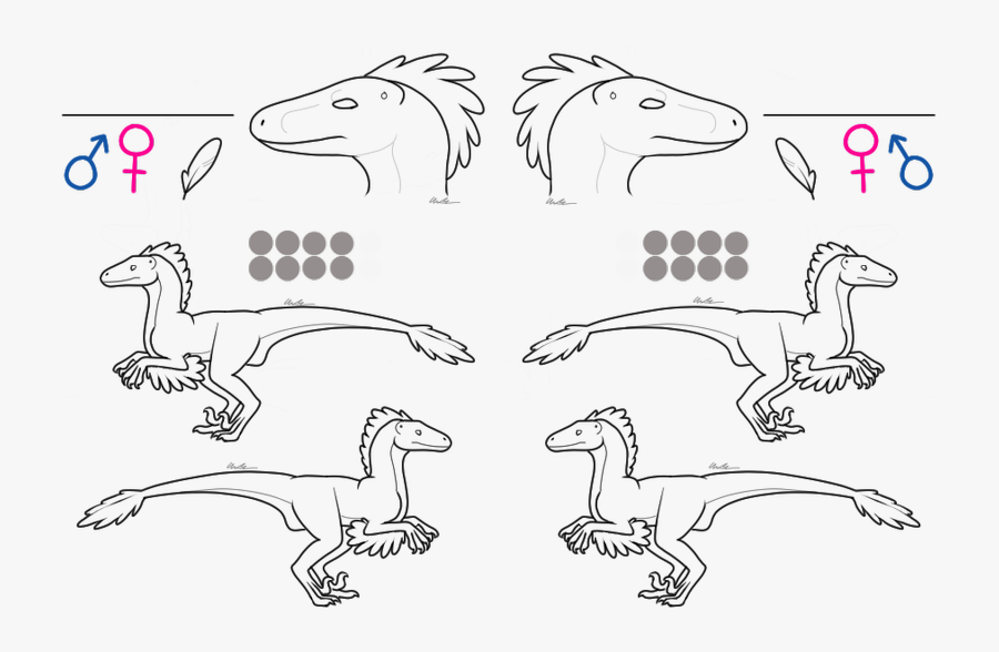 Raptor Lineart - Free To Use Raptor Base , Free Transparent Clipart ...