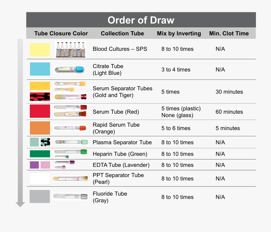 Order Of Draw 2018 , Free Transparent Clipart - ClipartKey