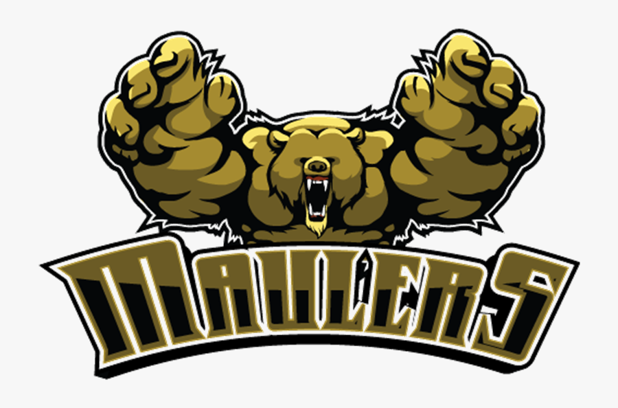 Team Call Of Duty Logo , Free Transparent Clipart - ClipartKey