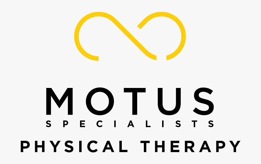 Motus - Oval , Free Transparent Clipart - ClipartKey