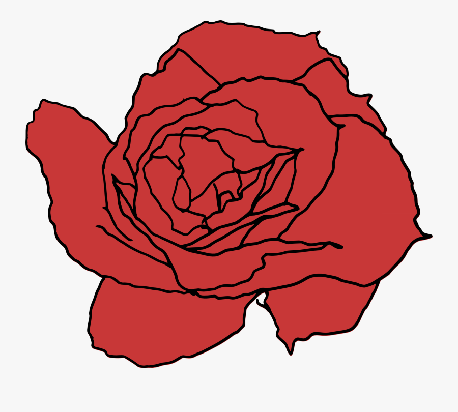 Transparent Red Rose Transparent Png - Rose Drawing Transparent , Free ...