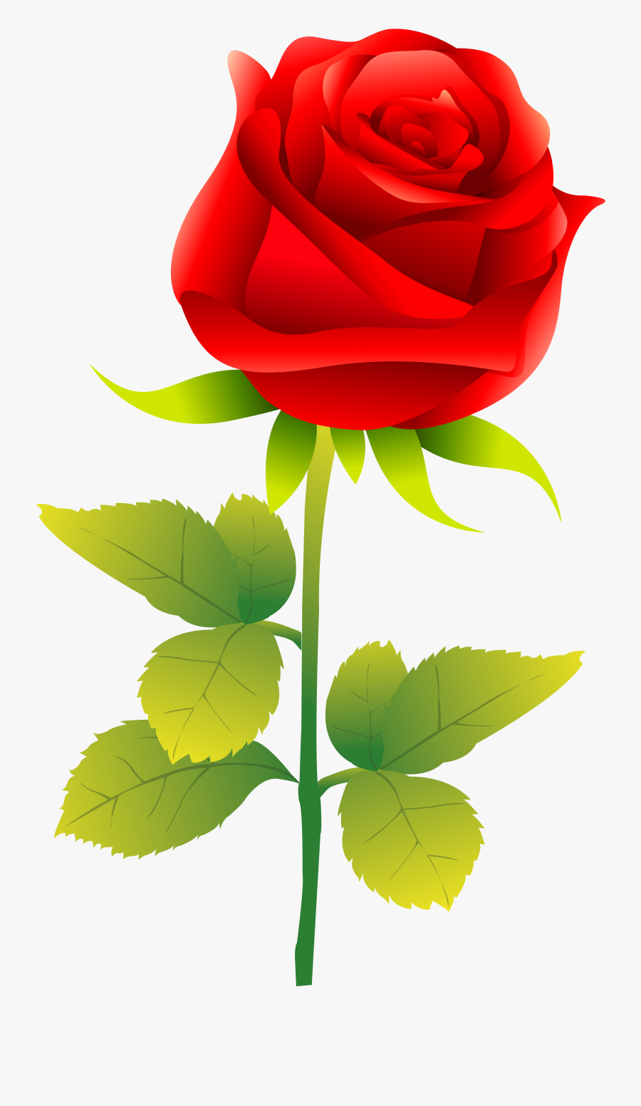 Rose Clip Art - Rose Vector Free , Free Transparent Clipart - ClipartKey