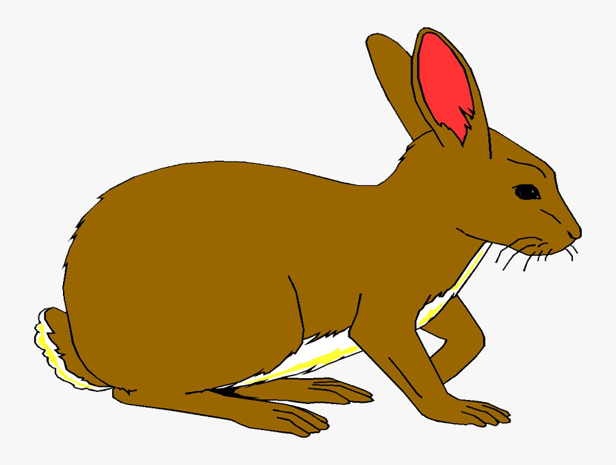 Thumb Image - Jack Rabbit Clip Art , Free Transparent Clipart - ClipartKey
