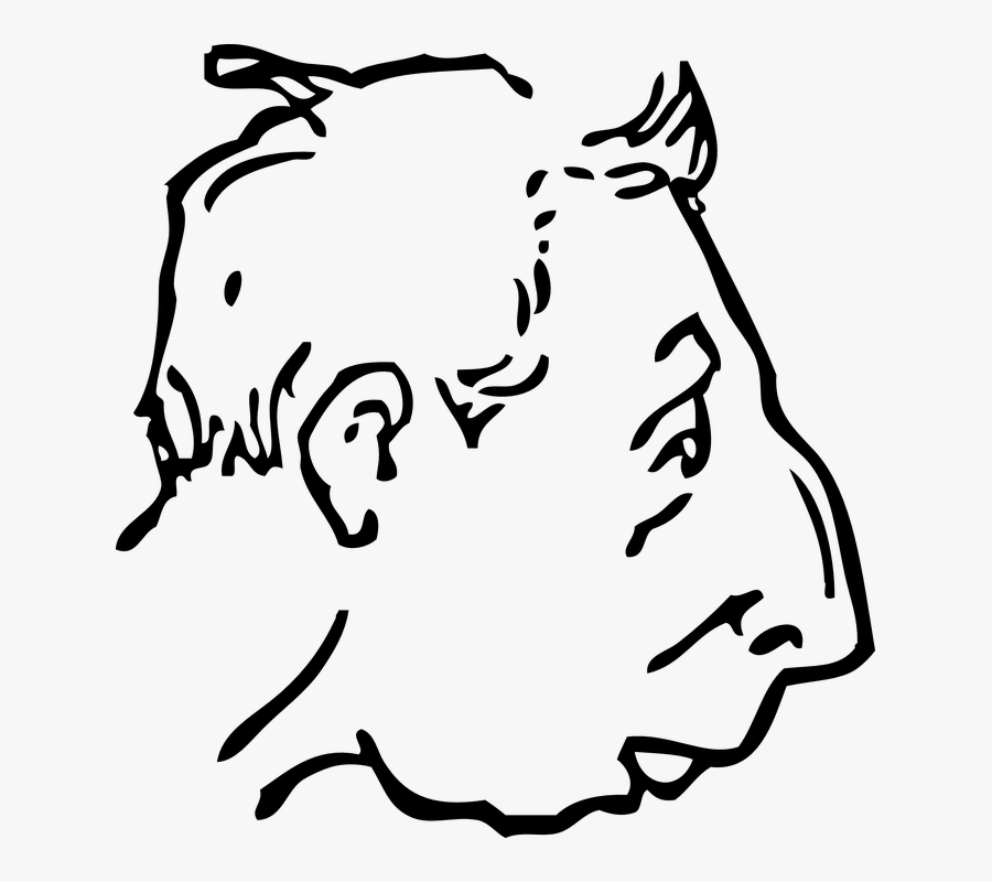 Face, Nose, Big, Man, Weak, Avatar - Weak Chin Cartoon , Free ...