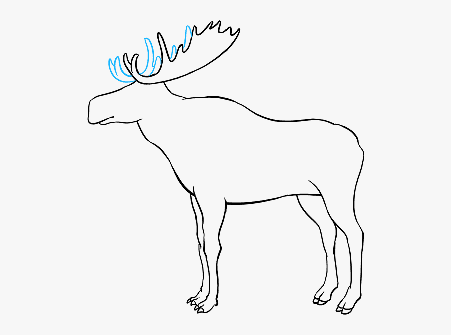 How To Draw A Moose - Line Art , Free Transparent Clipart - ClipartKey