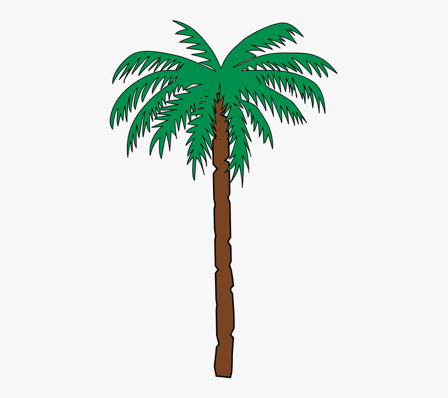Date Palm Clipart Transparent Background - Cartoon Palm Tree , Free ...